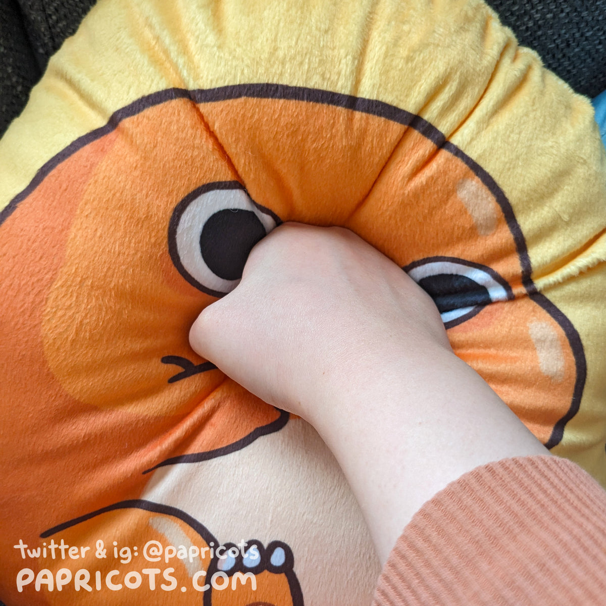 Pillow-Mon #004 - Chubby Fire Starter Pillow Plush – PAPRICOTS
